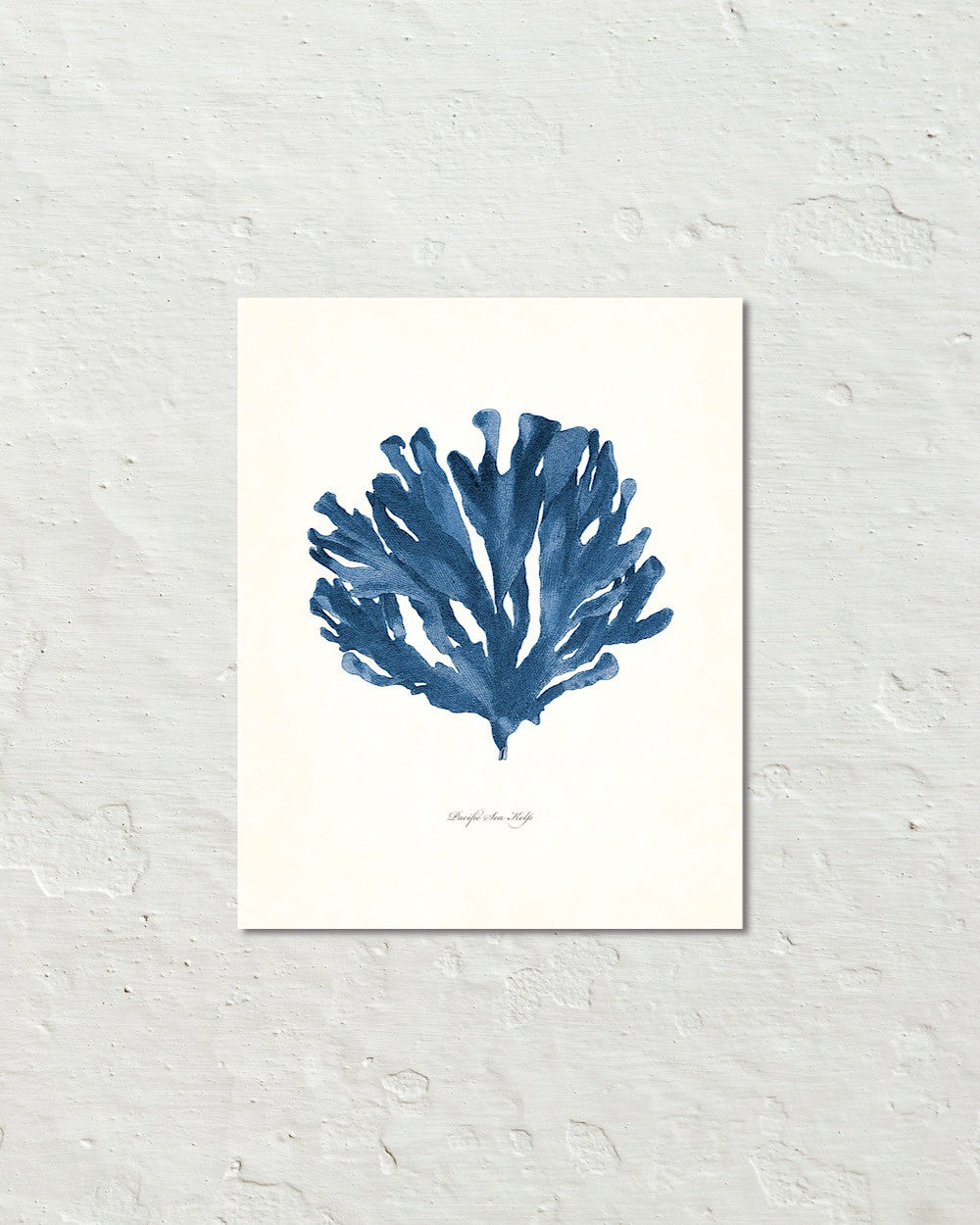 Vintage Indigo Blue Sea Kelp No. 5 Print – Belle Maison Art