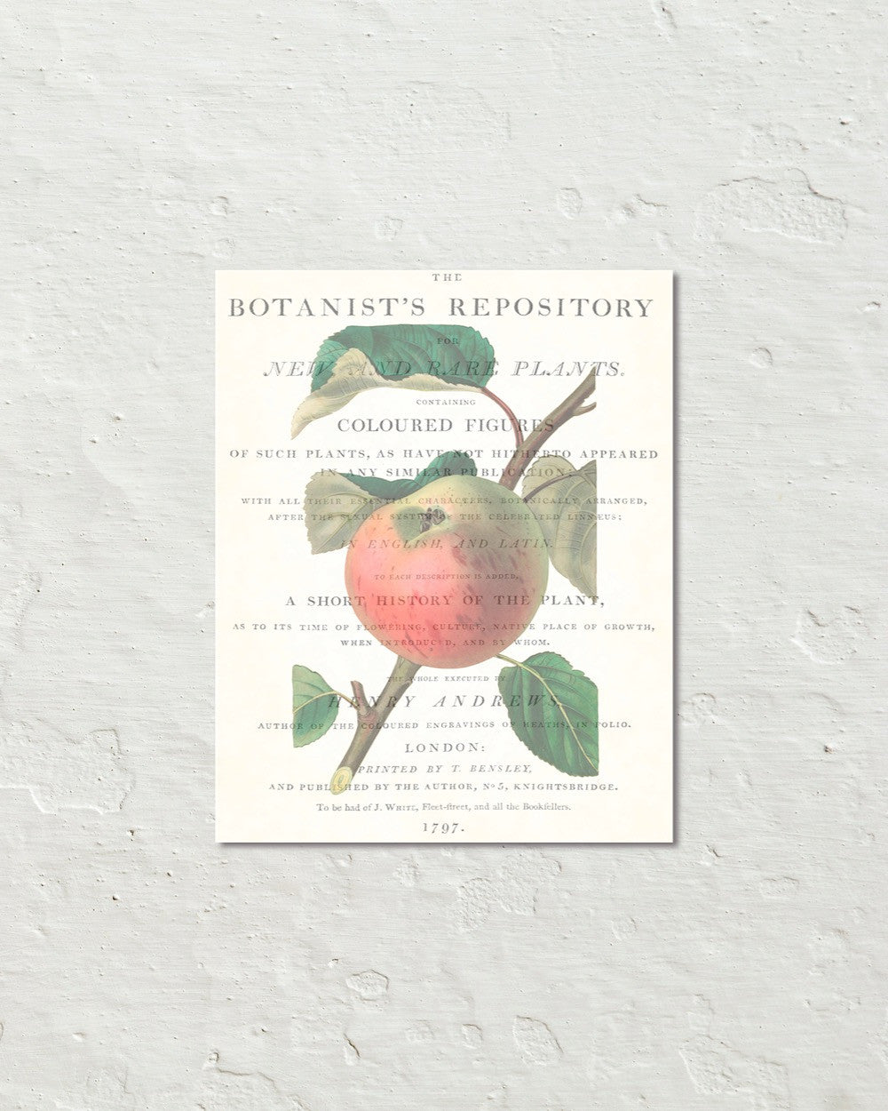 Vintage Pear Collage No. 3 – Belle Maison Art
