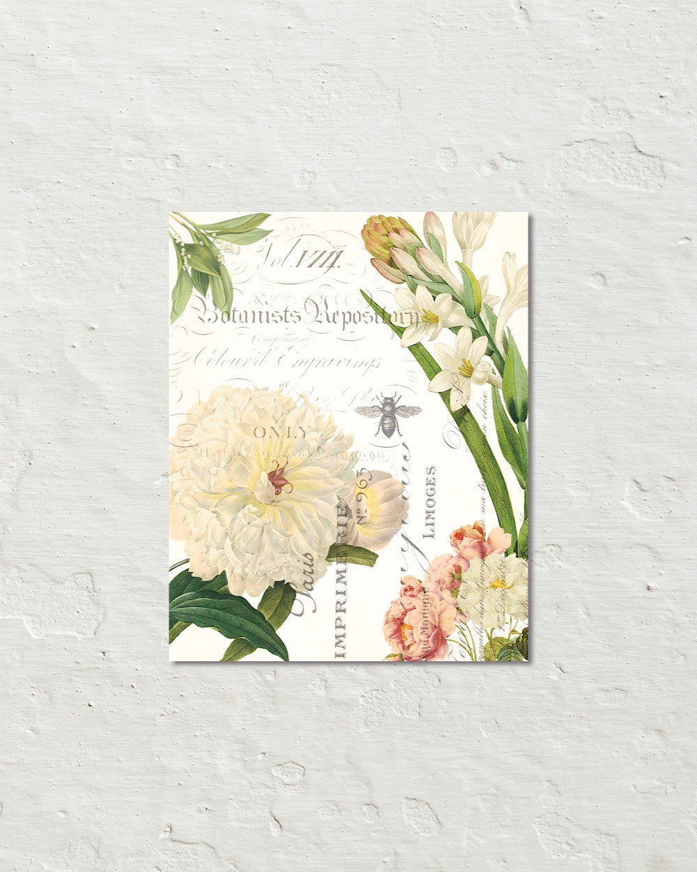 Spring Study Plate 2 Art Print – Belle Maison Art