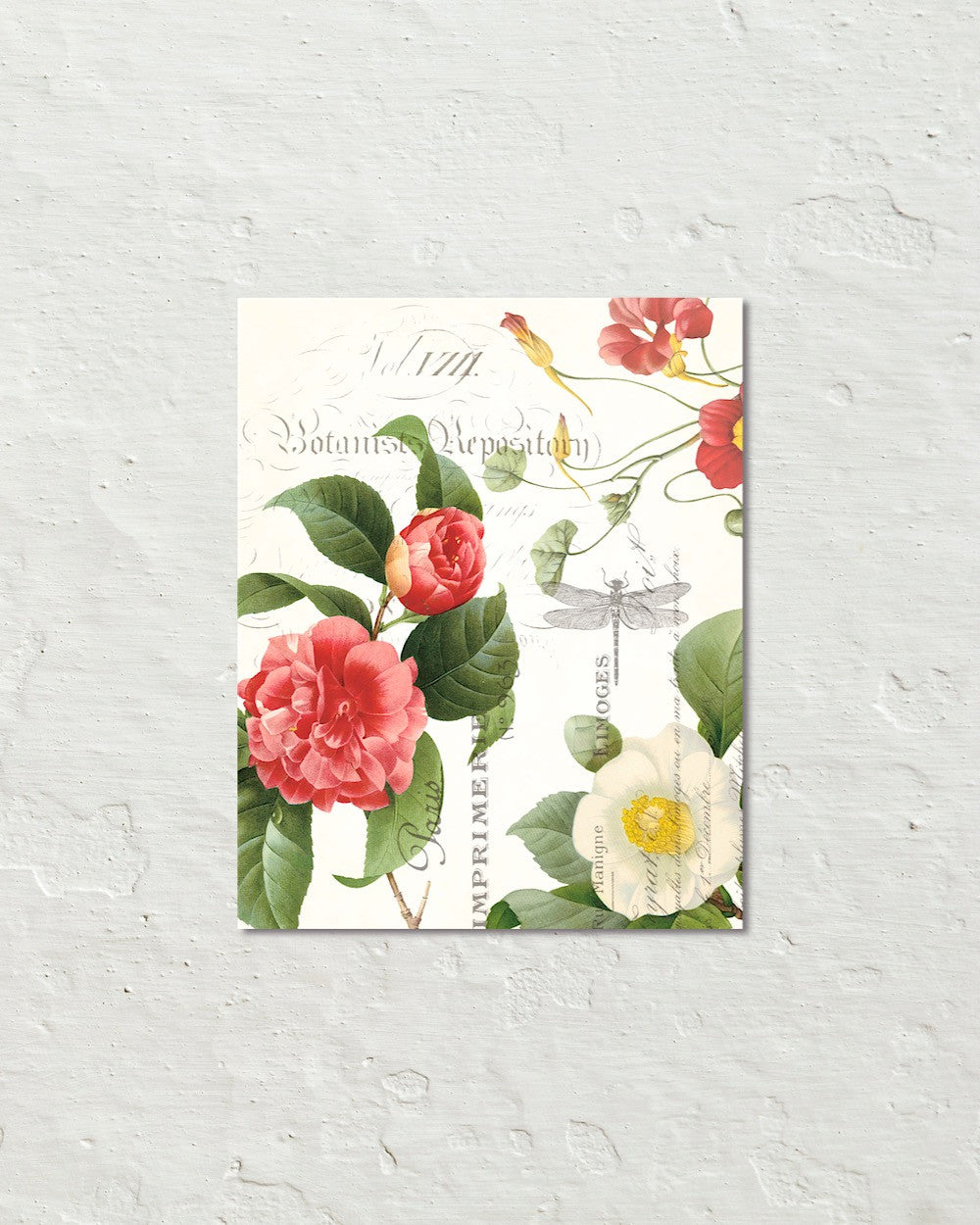 Spring Study Plate 4 Art Print – Belle Maison Art