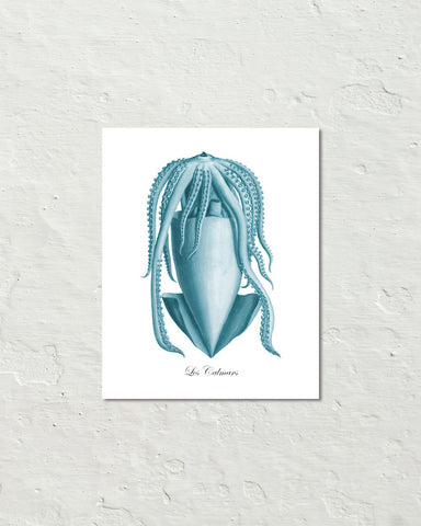 squid art print