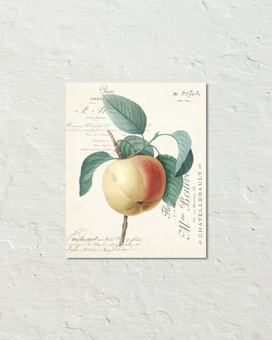 Fruits, Vegetables & Herbs Giclee Art Prints – Belle Maison Art
