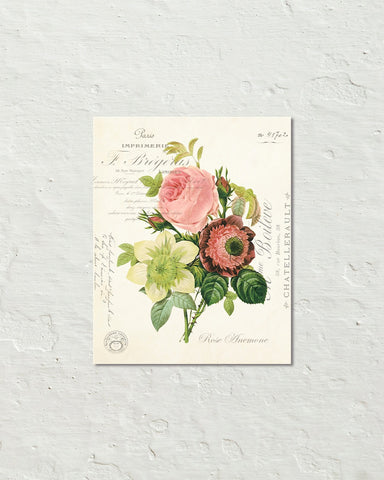 French Rose Anemone Collage Botanical Art Print – Belle Maison Art