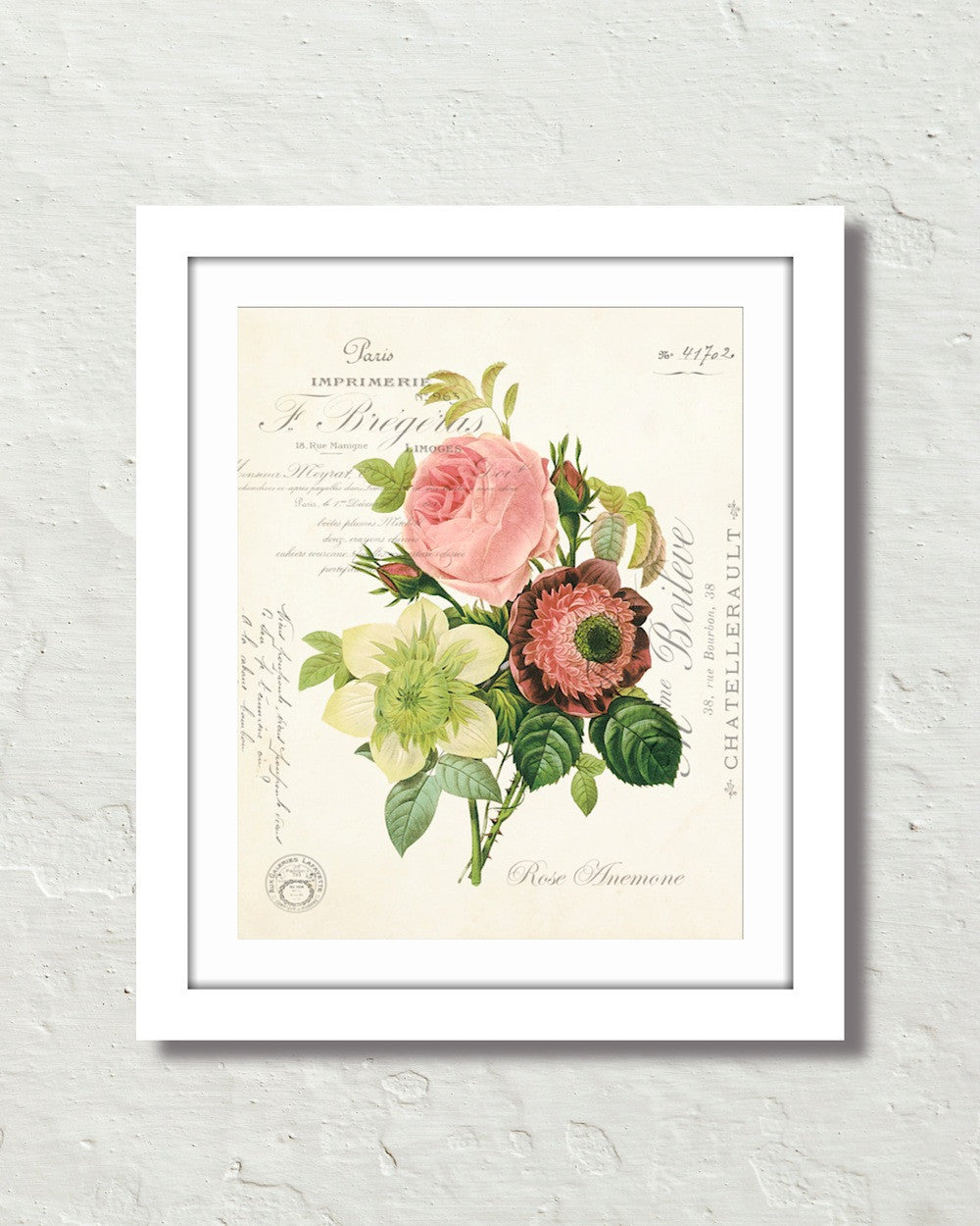 French Rose Anemone Collage Botanical Art Print – Belle Maison Art