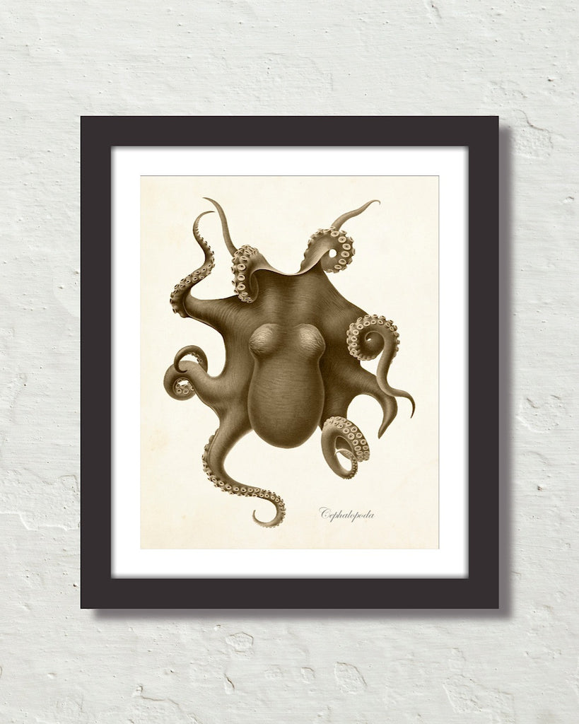 Vintage Octopus No. 3 Sepia Color Art Print – Belle Maison Art