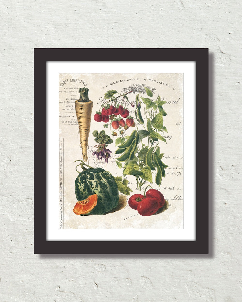 Vegetable Botanical Illustration