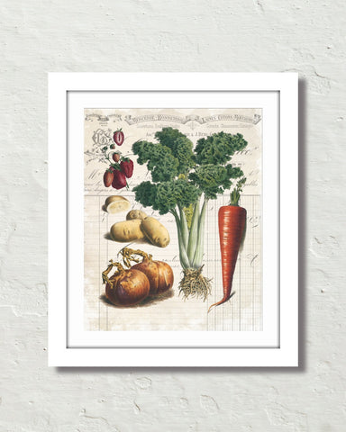 Fruits, Vegetables & Herbs Giclee Art Prints – Belle Maison Art