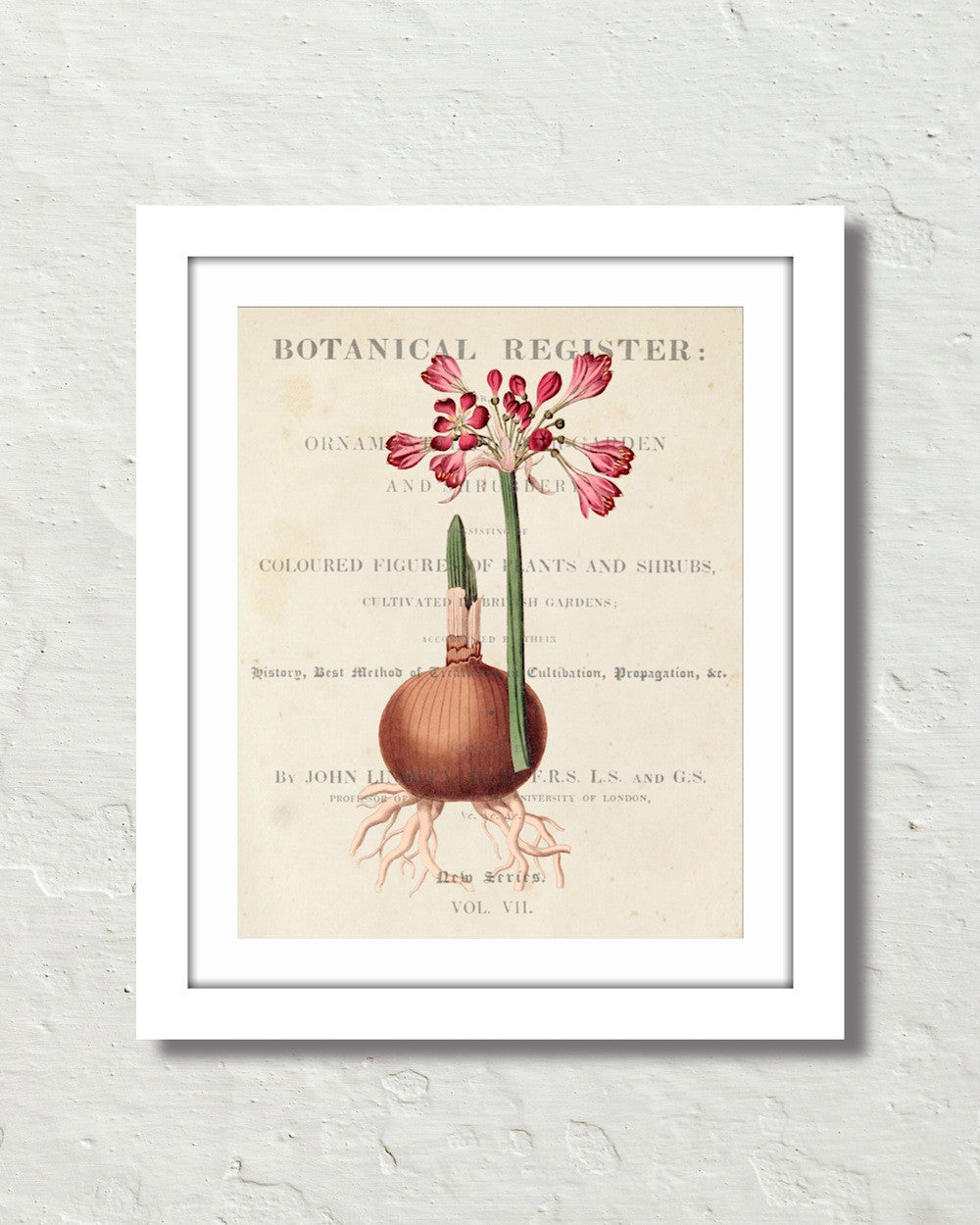 Vintage Floral Collage No.12 Botanical Art Print – Belle Maison Art