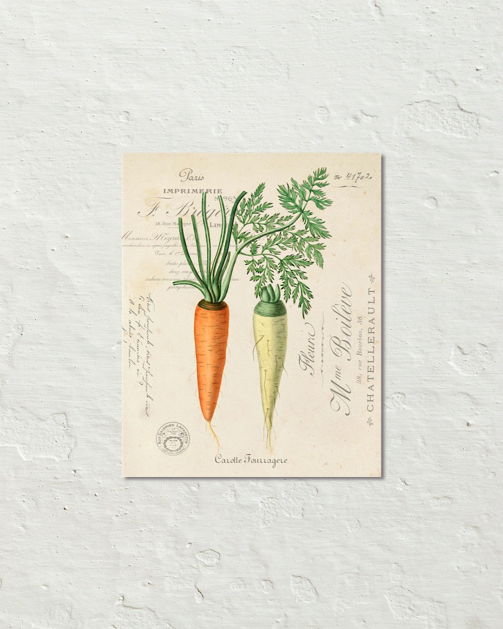 Fruits, Vegetables & Herbs Giclee Art Prints – Belle Maison Art