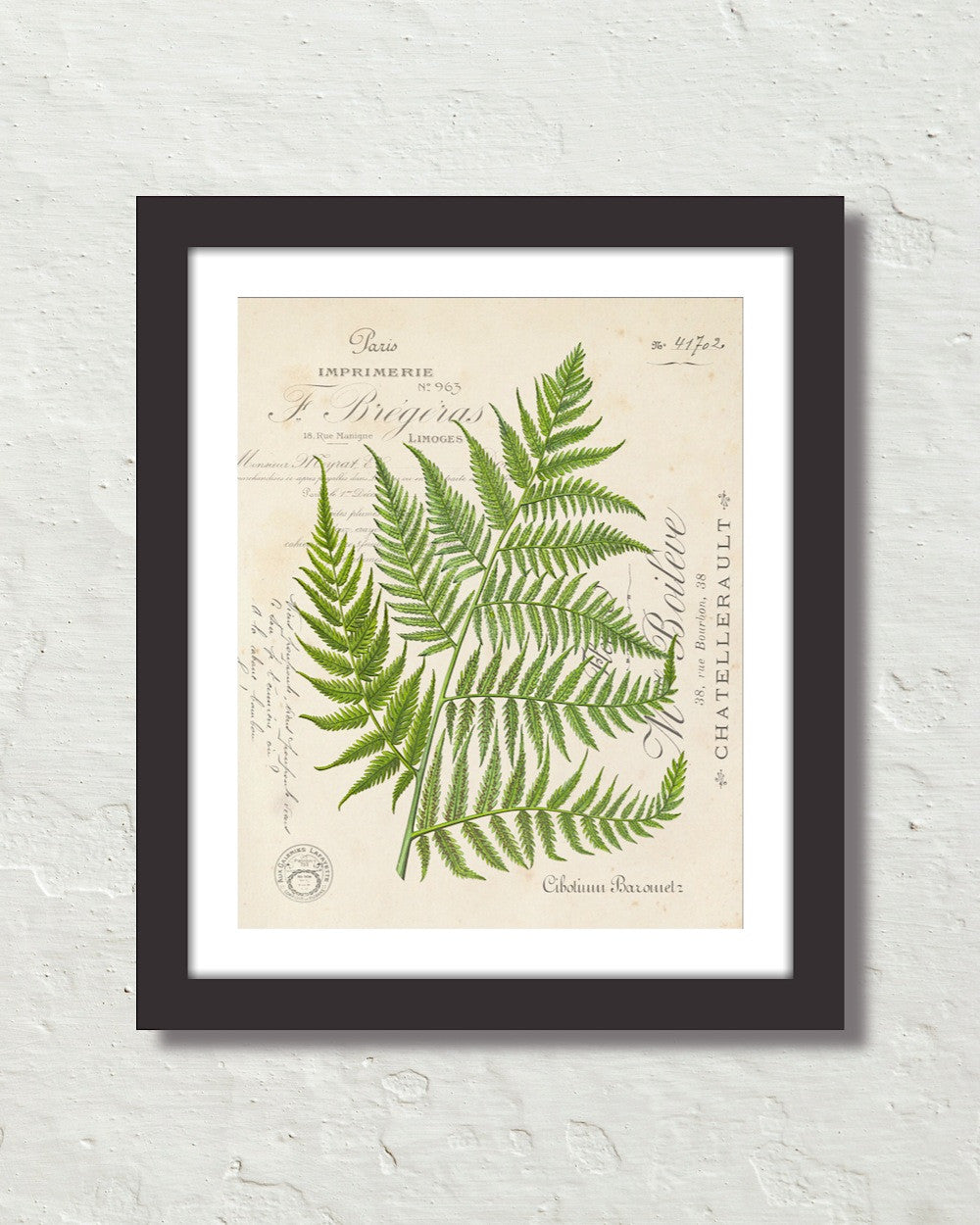 fern print pictures