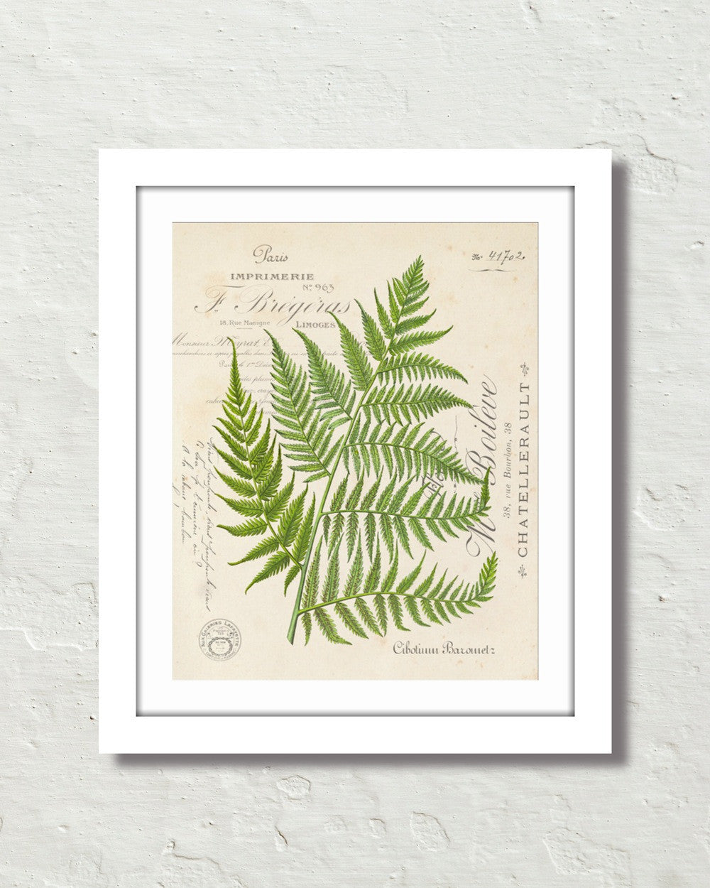 Ferns, Trees & Leaves Giclee Art Prints – Belle Maison Art