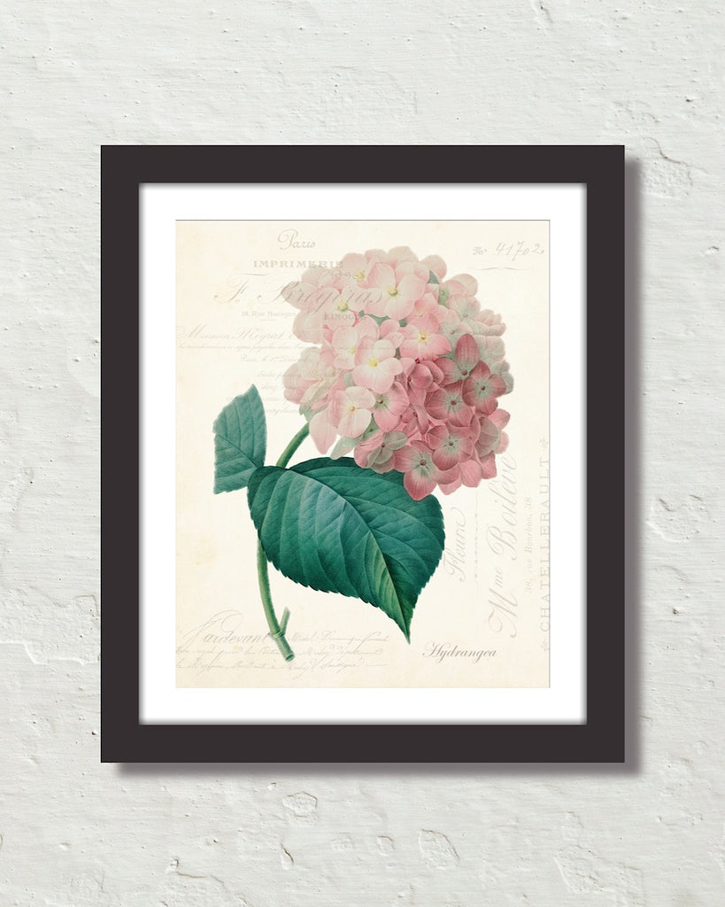 Vintage French Hydrangea Collage Art Print – Belle Maison Art