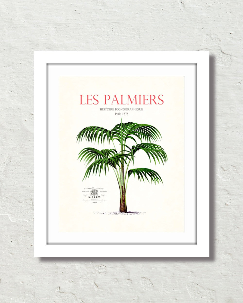 Les Palmiers Vintage French Palm Tree Collage No. 7 – Belle Maison Art