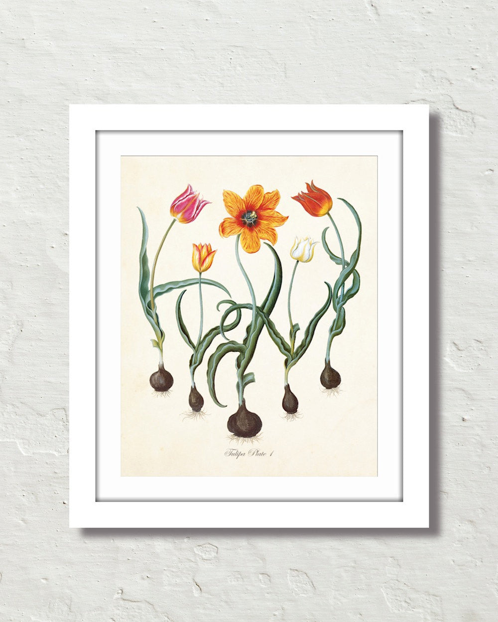 All Giclee Prints – Belle Maison Art
