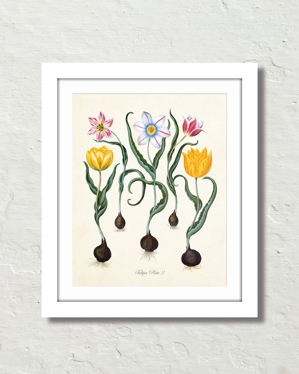 All Giclee Prints – Belle Maison Art