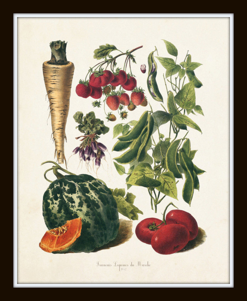 Fruits Vegetables & Herbs Print Sets – Belle Maison Art