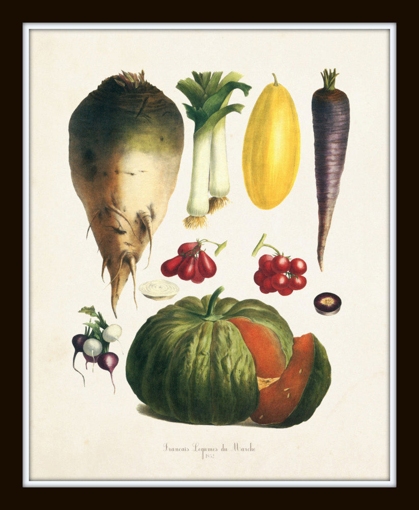 French Vegetable Print Set No. 6 – Belle Maison Art