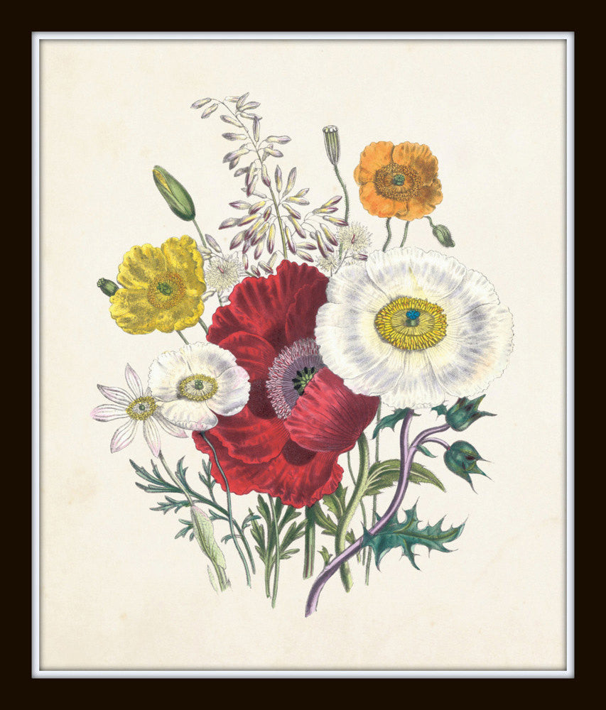 Botanical Floral Print Set No. 32 – Belle Maison Art
