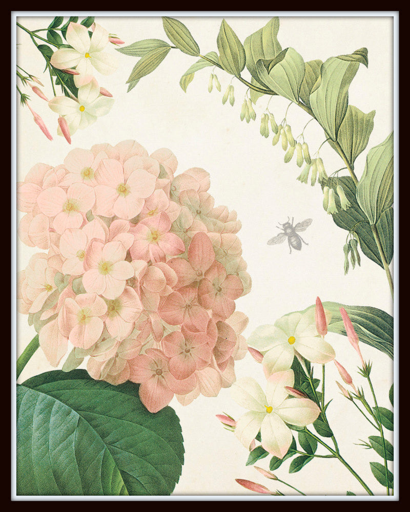 Spring Study II French Collage Print Set – Belle Maison Art