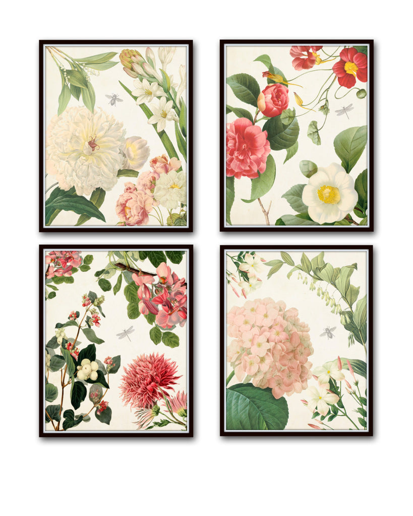 Spring Study II French Collage Print Set – Belle Maison Art