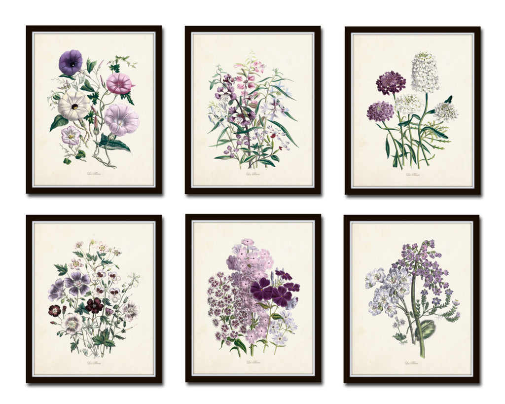 Les Fleurs Print Set No. 7 - Botanical Print Set – Belle Maison Art