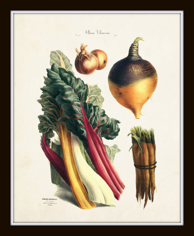 Fruits Vegetables & Herbs Print Sets – Belle Maison Art