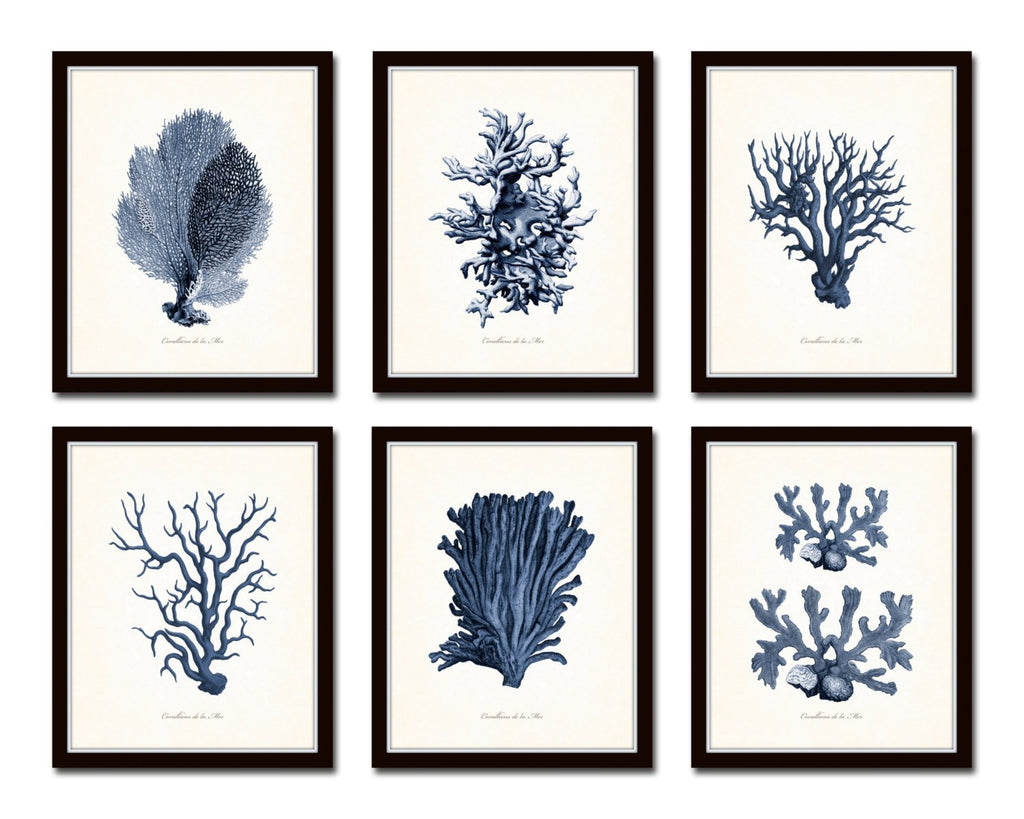 Blue Sea Coral Print Set No. 3 – Belle Maison Art