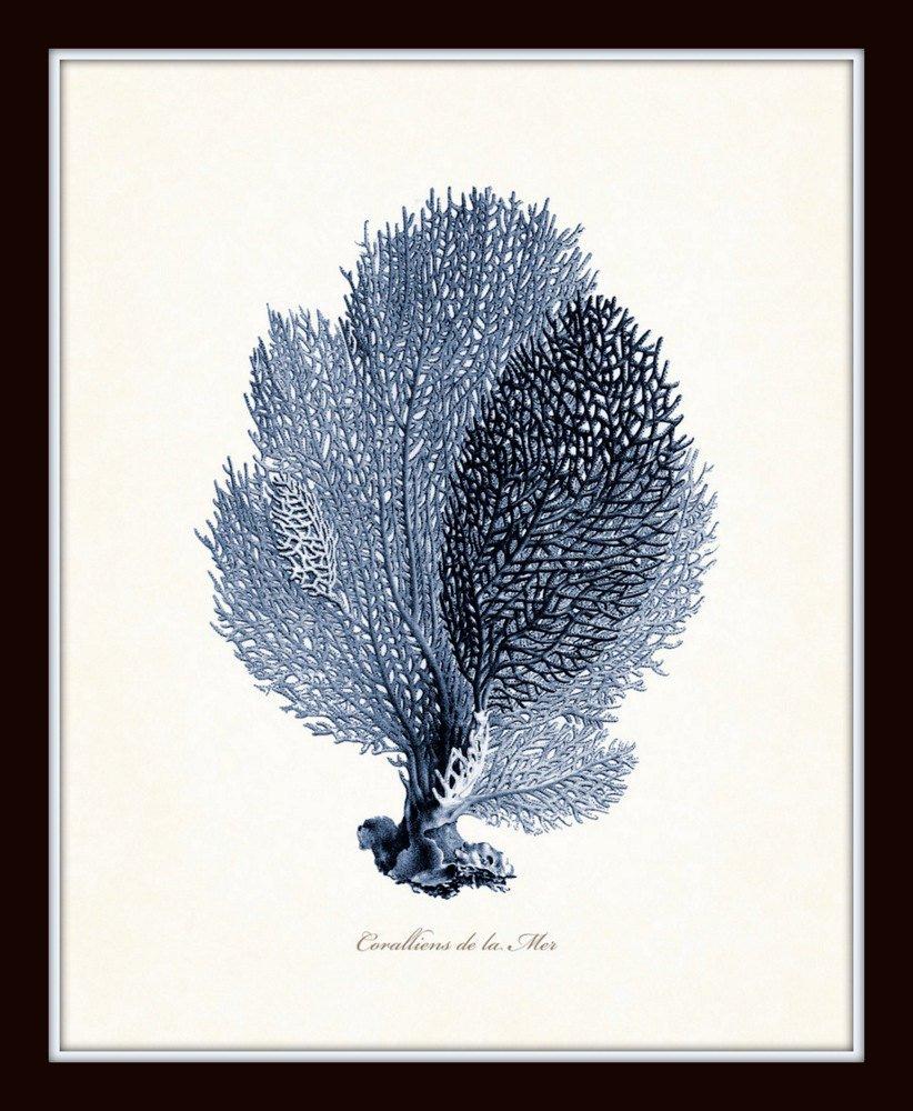 Blue Sea Coral Print Set No. 3 – Belle Maison Art