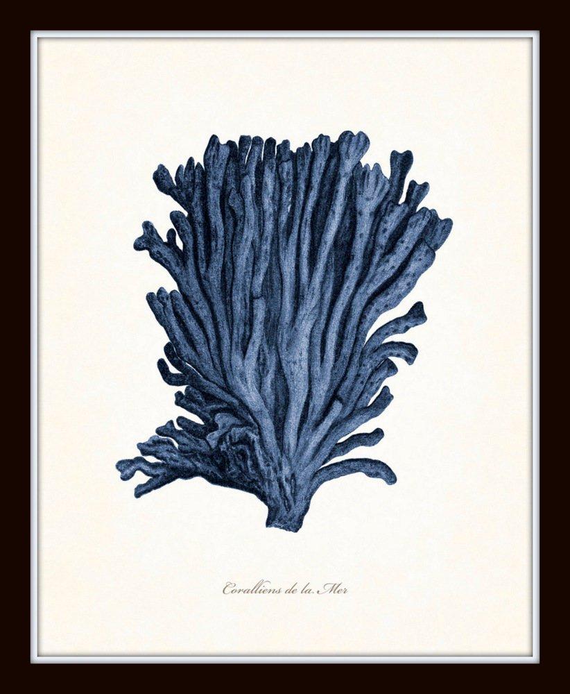 Blue Sea Coral Print Set No. 3 – Belle Maison Art
