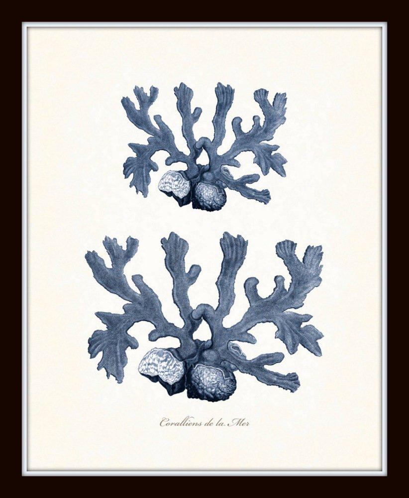 Blue Sea Coral Print Set No. 3 – Belle Maison Art